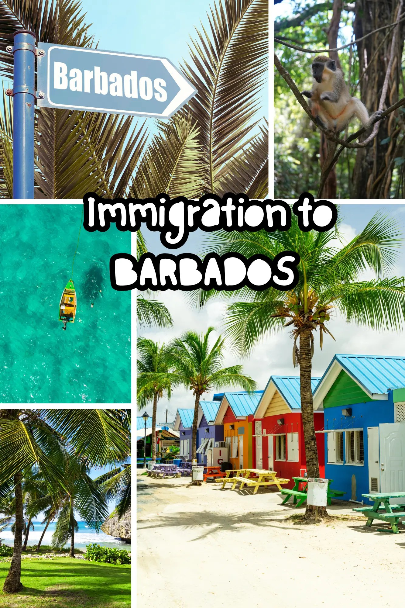 Discover Why Immigration to Barbados Could Be Your Next Big Life Move ...